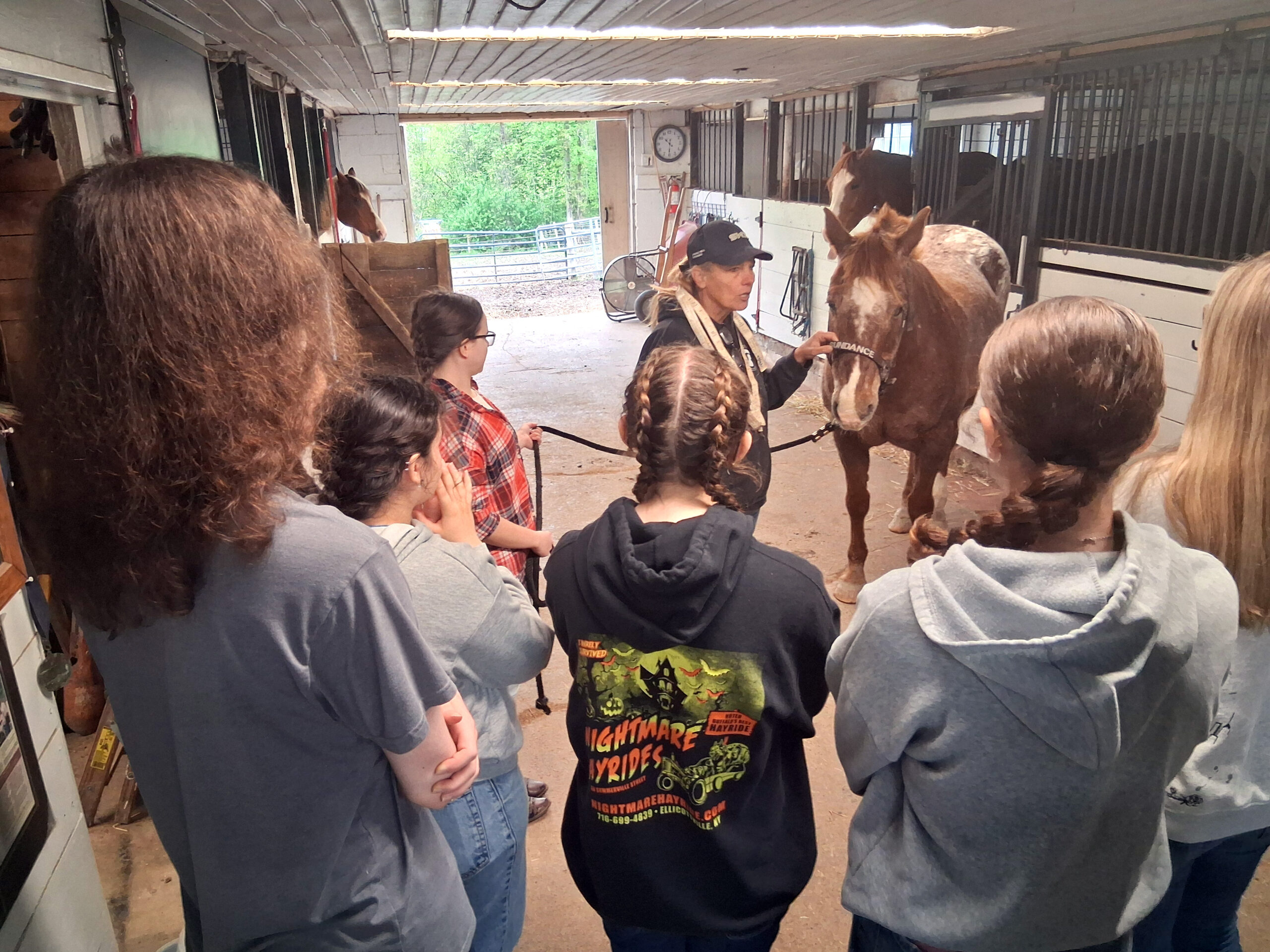 BOCES Students Explore Equine Care At N.E.I.G.H. | News, Sports, Jobs ...